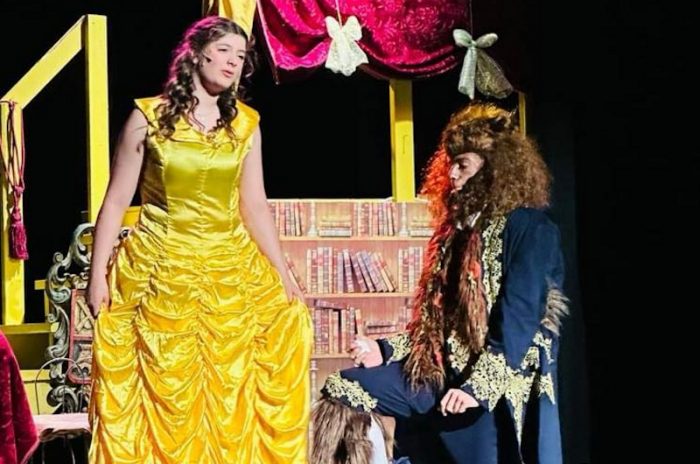 Un succès pour la comédie musicale La Belle et la bête à l’école ...