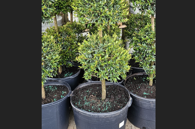 Participez au concours de la Ville de Sorel-Tracy pour courir la chance ...