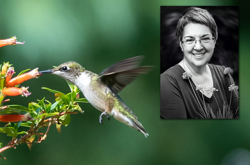 Linda Dufault, messagère alliée des colibris | SorelTracy Magazine ...